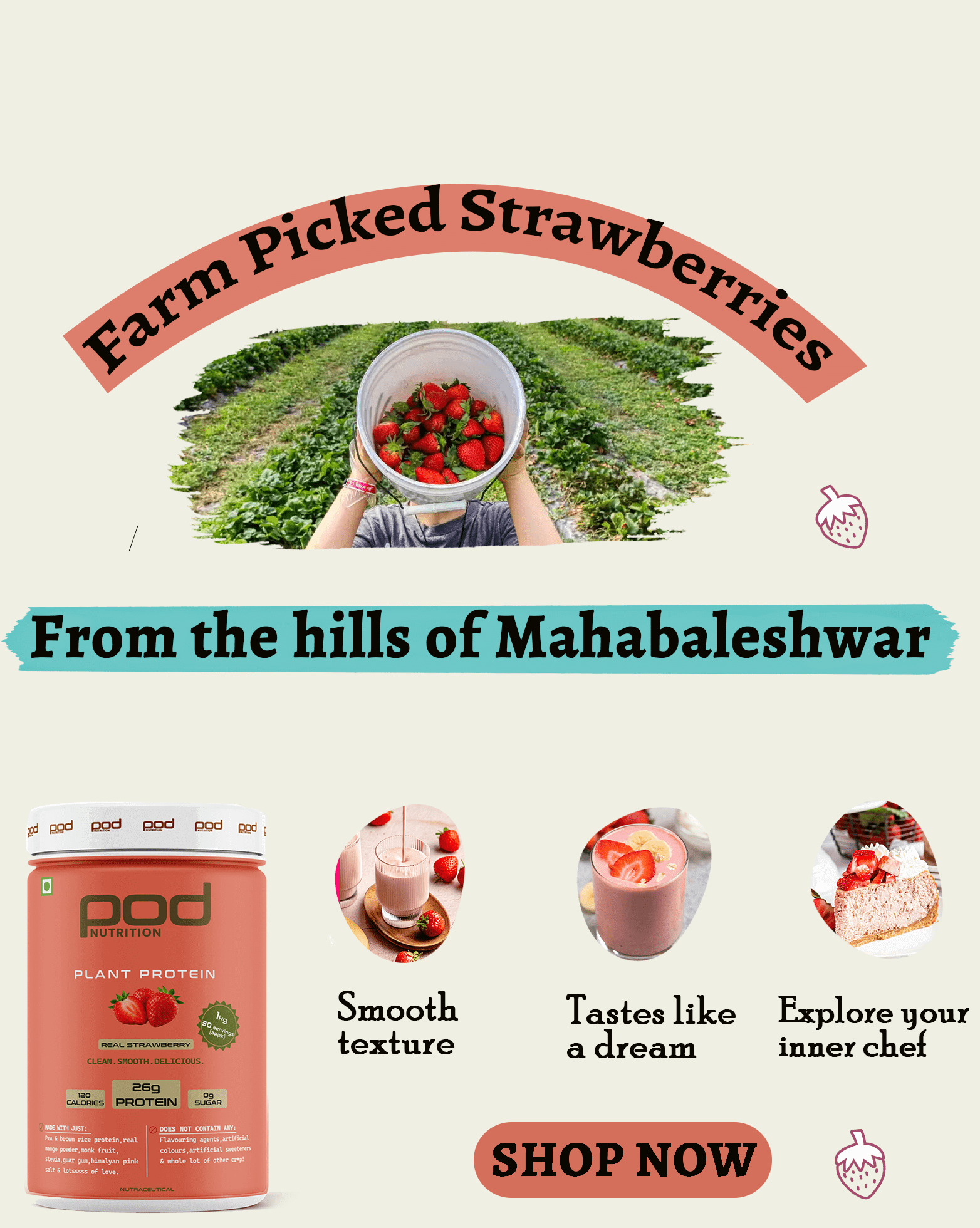 Best Plant Protein Powder Online Store in India – Pod Nutrition